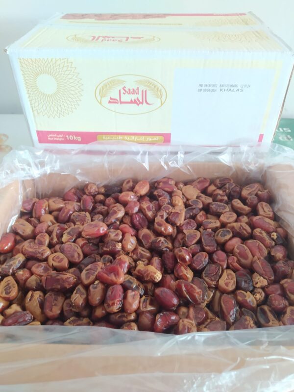 Kurma Khalas Saad | Partai Kurma Khalas | Kurma Khalas Grosir